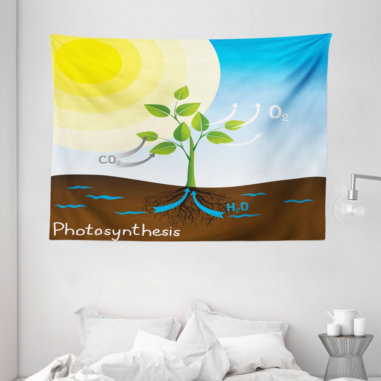 Educational Tapestry, Simple Photosynthesis Scheme Plant Sun Molecules ...