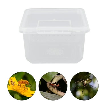 Small Acrylic Reptiles Box Breeding Feeding Tanks Container 5x6cm ...