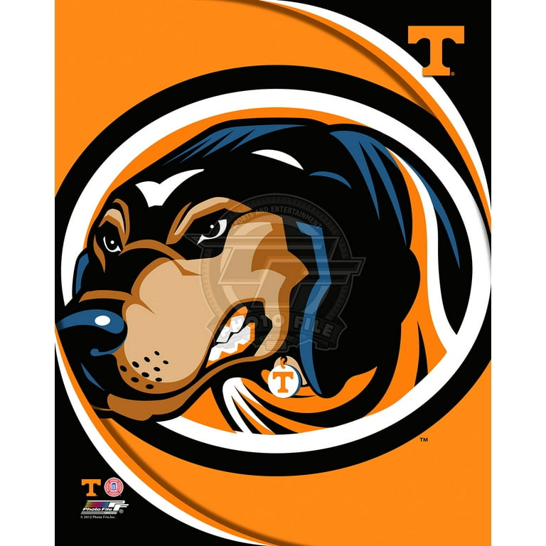 University Of Tennessee Volunteers