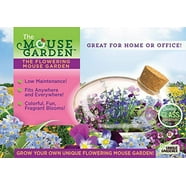 Unique Gardener - Mini Desertscape - Indoor Micro-Gardening Kit ...