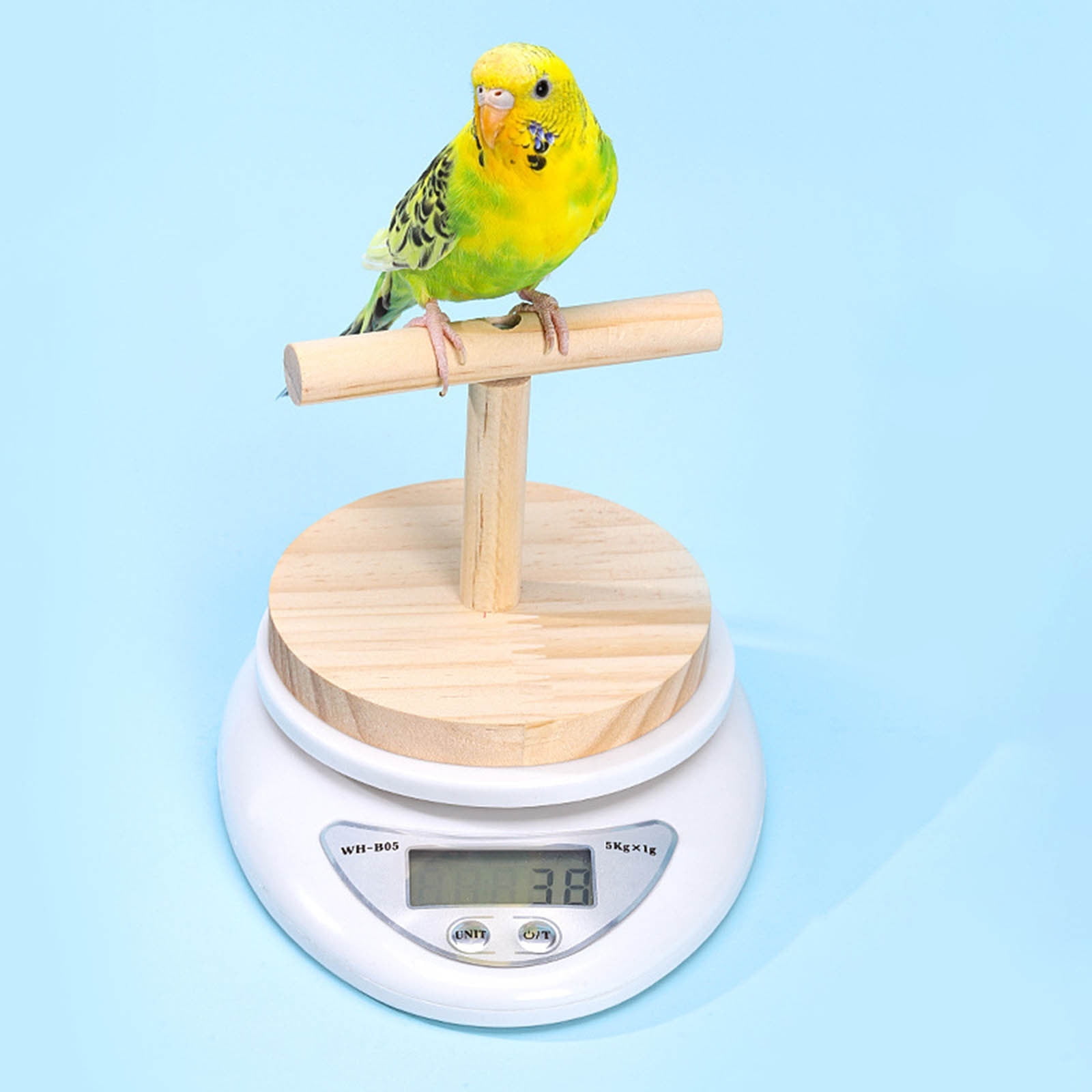 Bird Weight Scale Parrot Training Animal Scale With | High Accuracy ...
