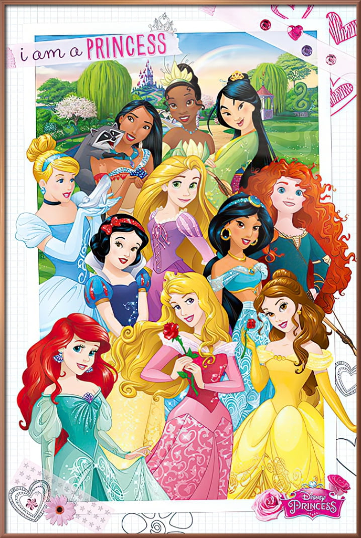 Disney Princess - Framed TV Show / Movie Poster (11 Princesses) (Size ...