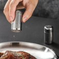 Mini Travel Salt and Pepper Shakers Set, Small Stainless Steel Spice ...