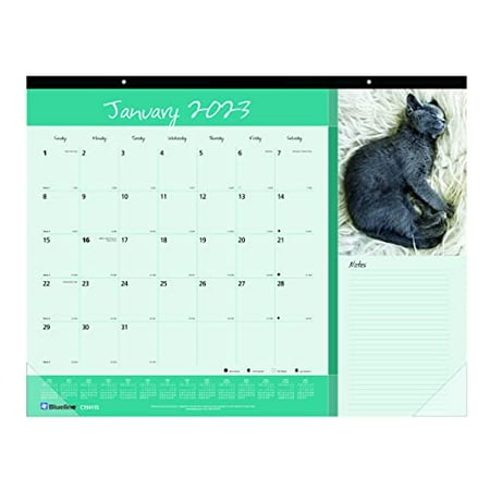 Blueline DESK PAD,FURRY,CATS,L | Walmart Canada