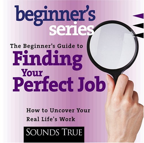 Pre-Owned The Beginner's Guide to Finding You Perfect Job ...
