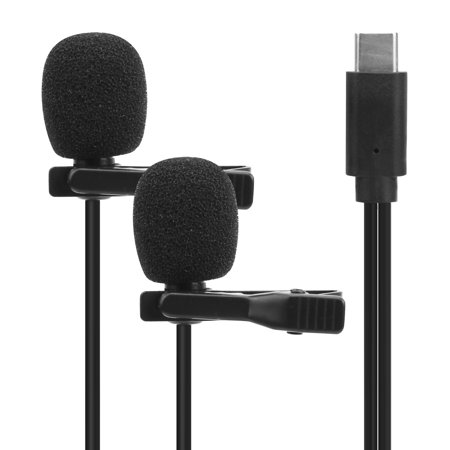 TYPE-C Microphone, Dual Head Microphone, Shielding Performance Plug And ...