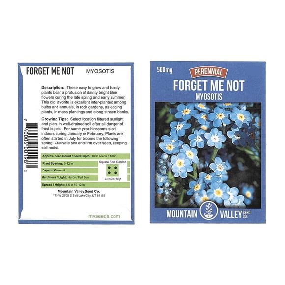 Forget Me Not Seed Packets Bulk