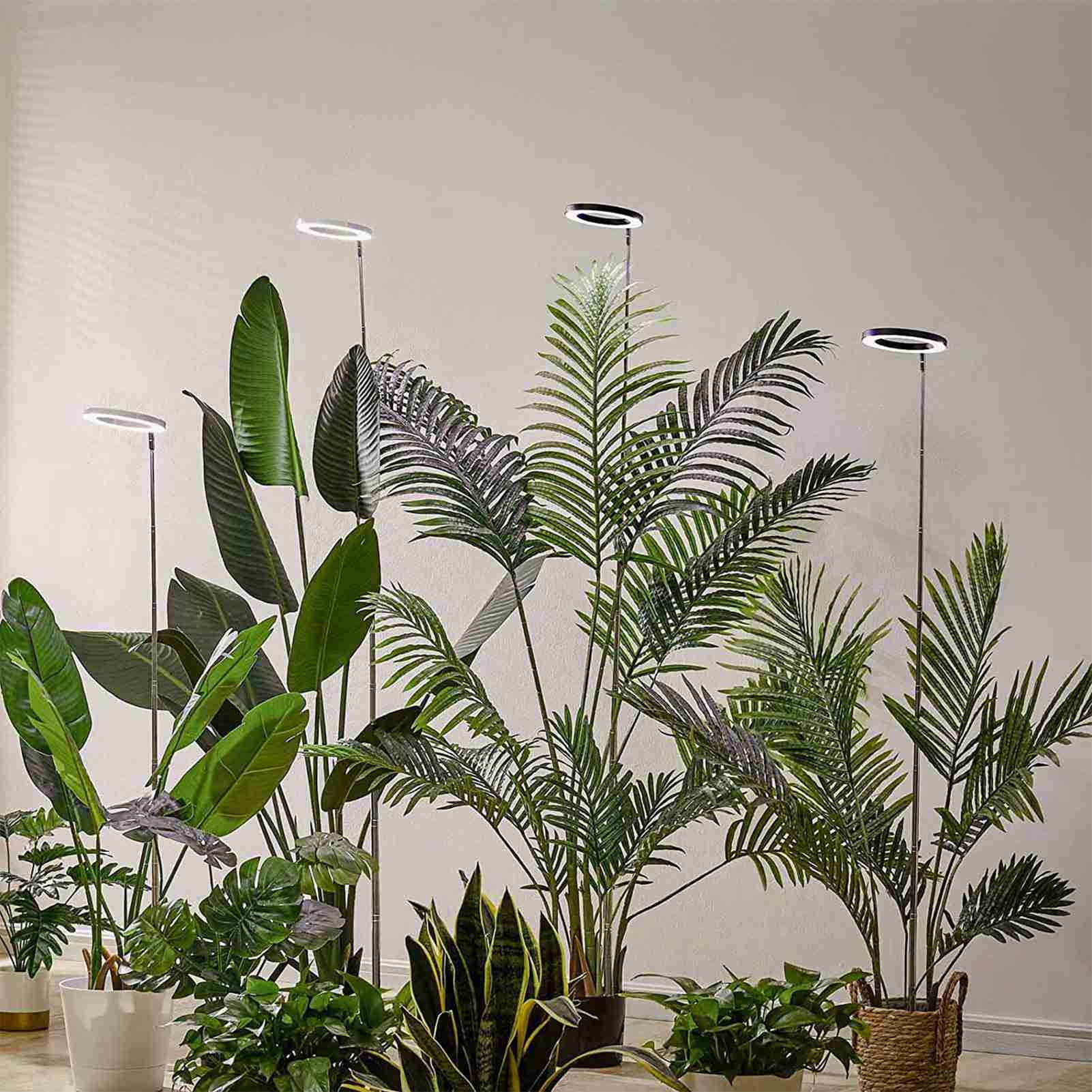 Click here for Ymiko Grow Lights For Indoor Plants  Plant Lights... prices