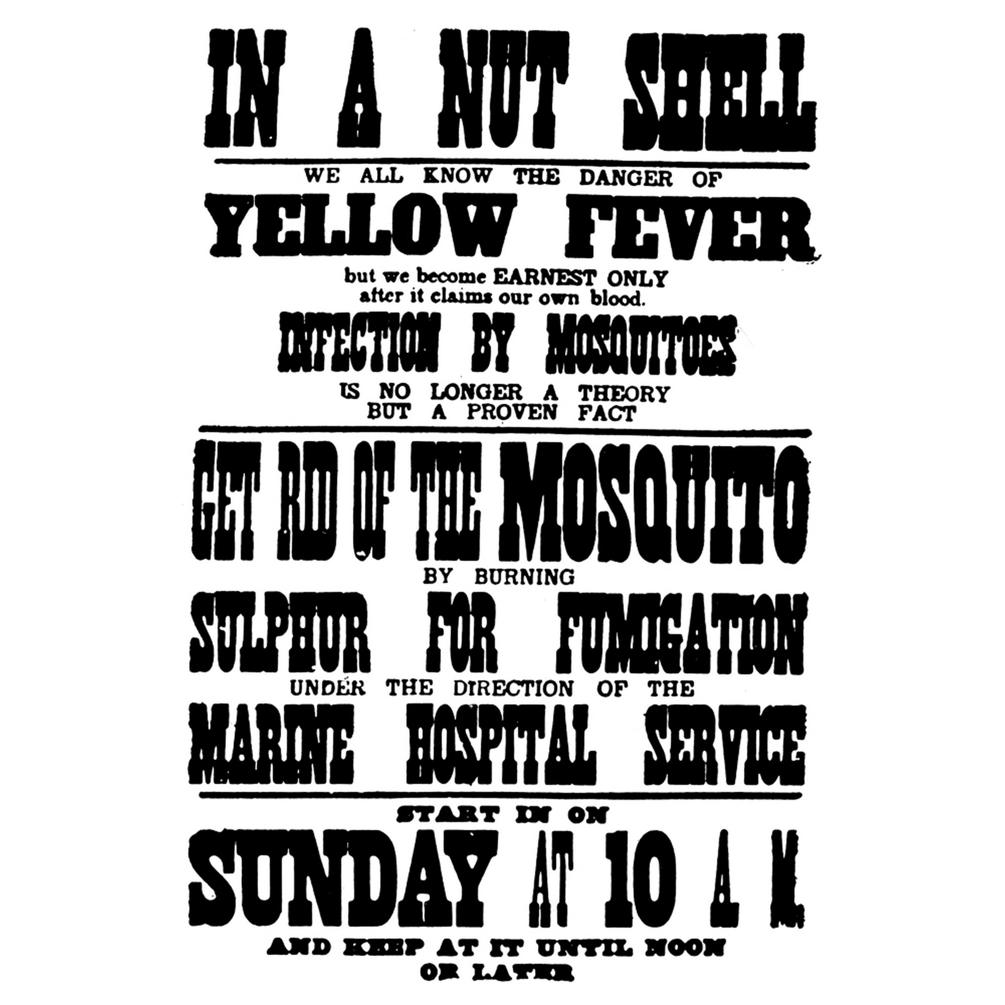 Yellow Fever Poster
