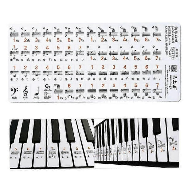 2025 Latest Model Transparent 37 49 61 Electronic Keyboard 88 Key Piano ...