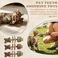 2026 New Creative Fish Bone Cat Dental Chew Toy -Natural Catnip ...