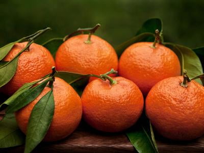 Satsuma Tangerines II, Botanical Unframed Photographic Print Wall Art ...