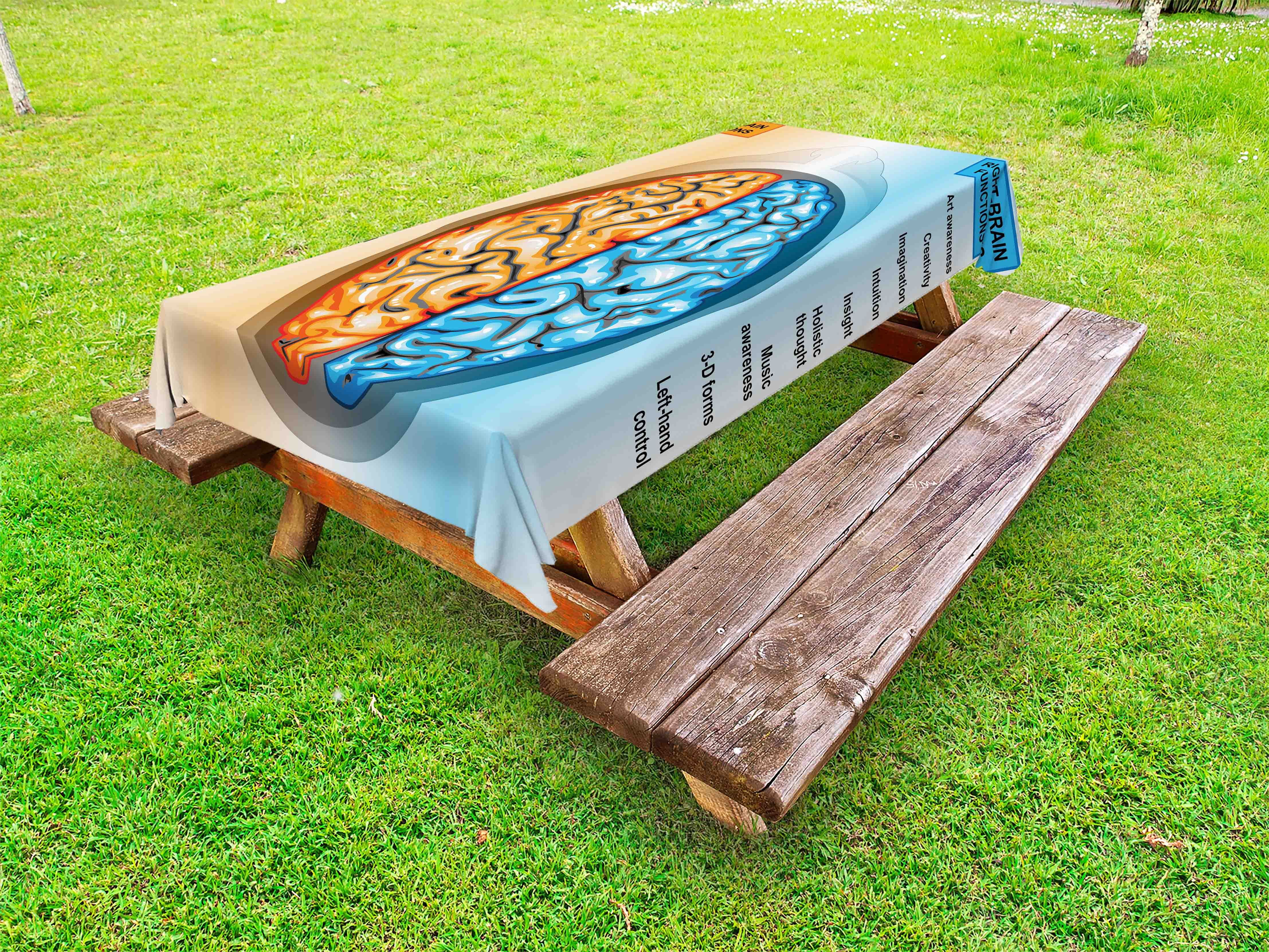 Educational Outdoor Tablecloth, Human Brain Left and Right Functions ...