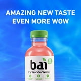 Bai Raspberry Lemon Lime Antioxidant Infused Water Beverage, 14 fl oz ...
