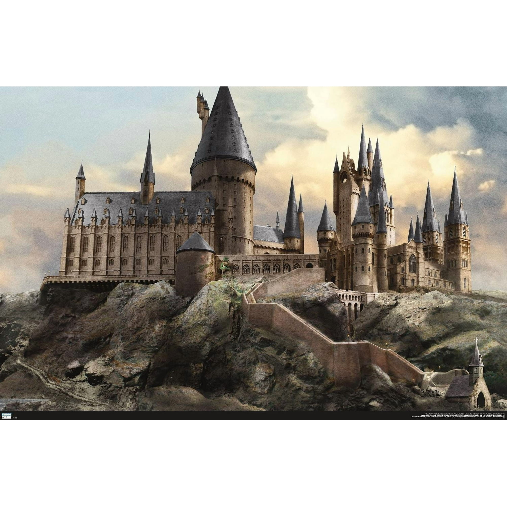 Click here for Trends International The Wizarding World: Harry Po... prices