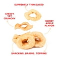 Drybox Dried Apple Chips No Sugar Added Apple Crisps 10 Pack Dehydrated Oven Baked Sliced Apple