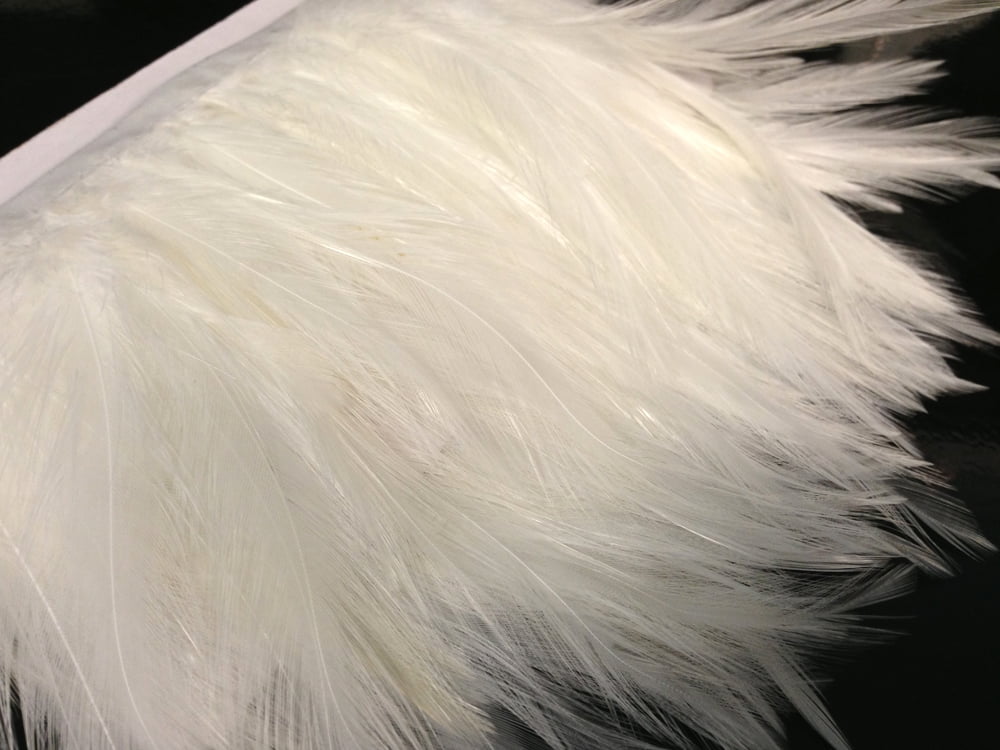 Lot of 50 Natural Brown White Cream Saddles Feathers Jewelry & Beauty ...