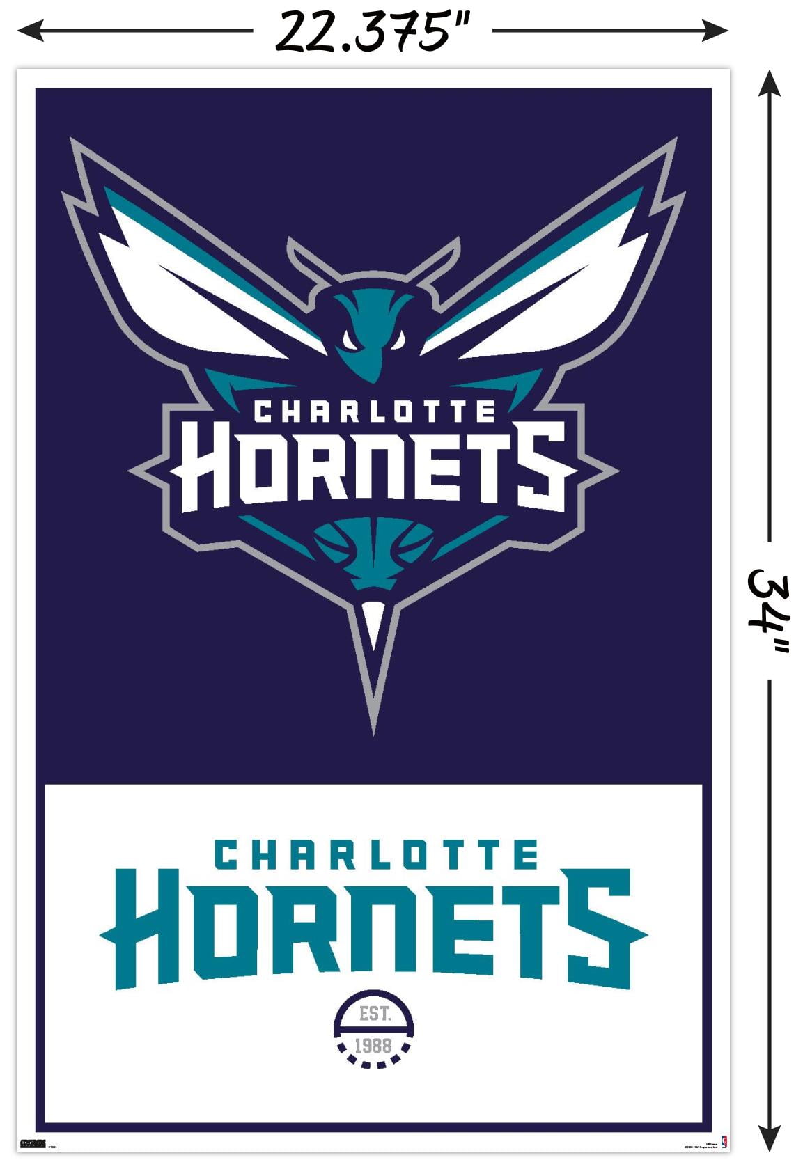 Charlotte Hornets Logo