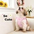 Cute Cat Harness and Leash Set Blue Floral Daisy Cat Vest Harness ...