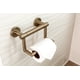 Delta BathSafety Contemporary Tissue Holder with Assist Bar in ...
