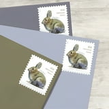 USPS Additional Ounce Stamps, Brush Rabbit Design, Sheet of 20, Self ...