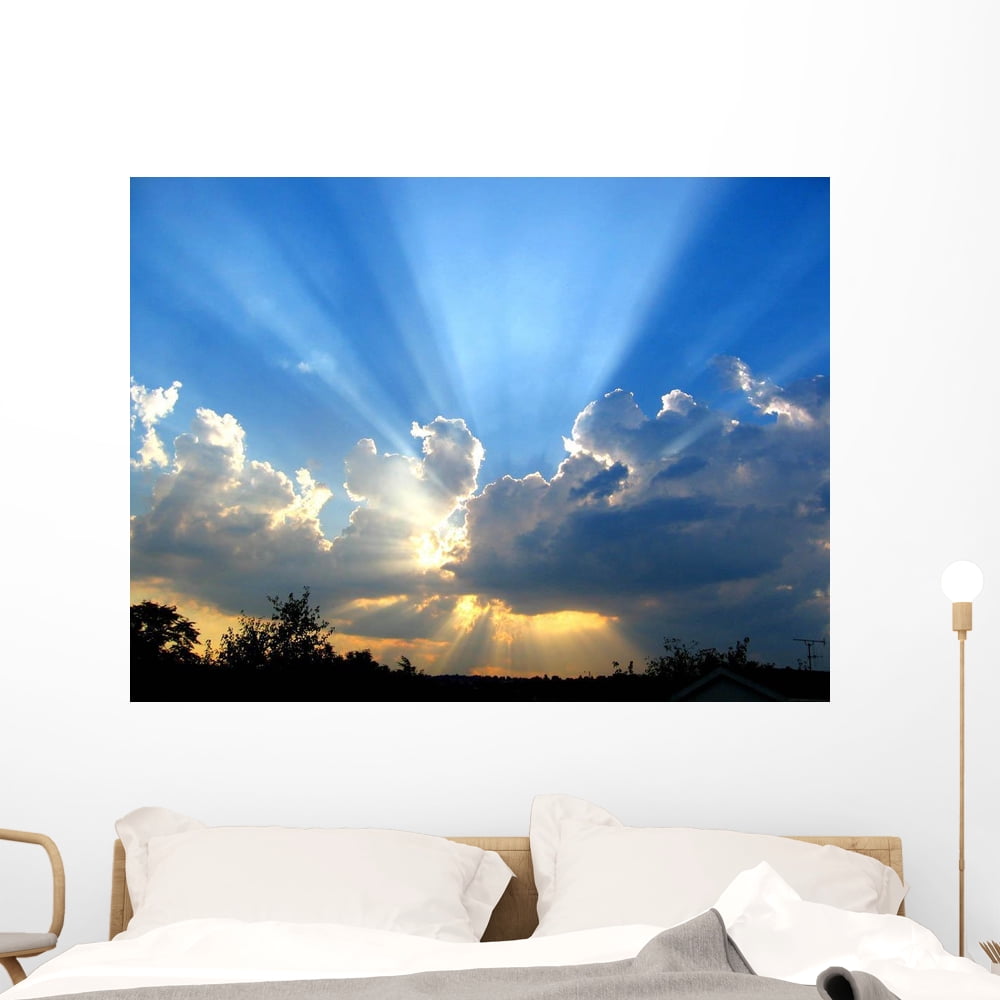 Sun Burst Wall Mural by Wallmonkeys Peel and Stick Graphic (48 in W x ...