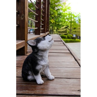 SCHNAUZER PUPPY PRAYING - Walmart.com