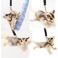 GYTY Sugar Gliders Harness Leash Set - 3 Pcs Training Walking Gear ...