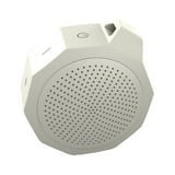 TechComm BT101 Mini Bluetooth Speaker Hands-Free Calling - Walmart.com