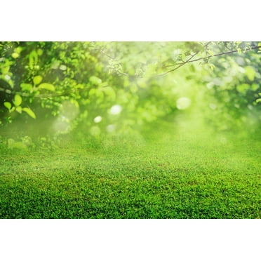 Allenjoy 7x5ft Nature Green Lawn Leaves Backdrop for Photography Grass ...