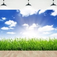 Natural Scenery Backdrop Blue Sky Photography Background Green Meadow ...