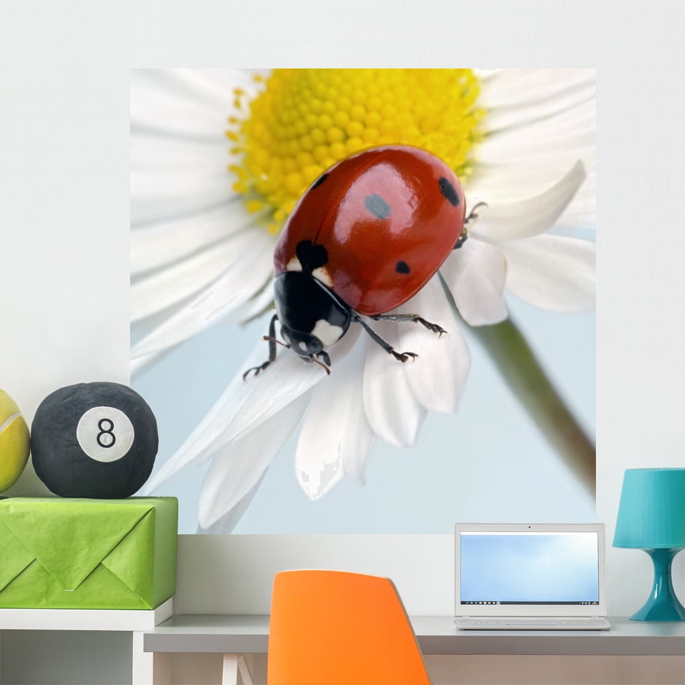 Ladybug Wall Mural by Wallmonkeys Peel and Stick Graphic (36 in H x 36 ...