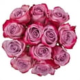 Fresh-Cut Solid Roses Flower Bunch, Minimum of 12 Stems, Colors Vary ...