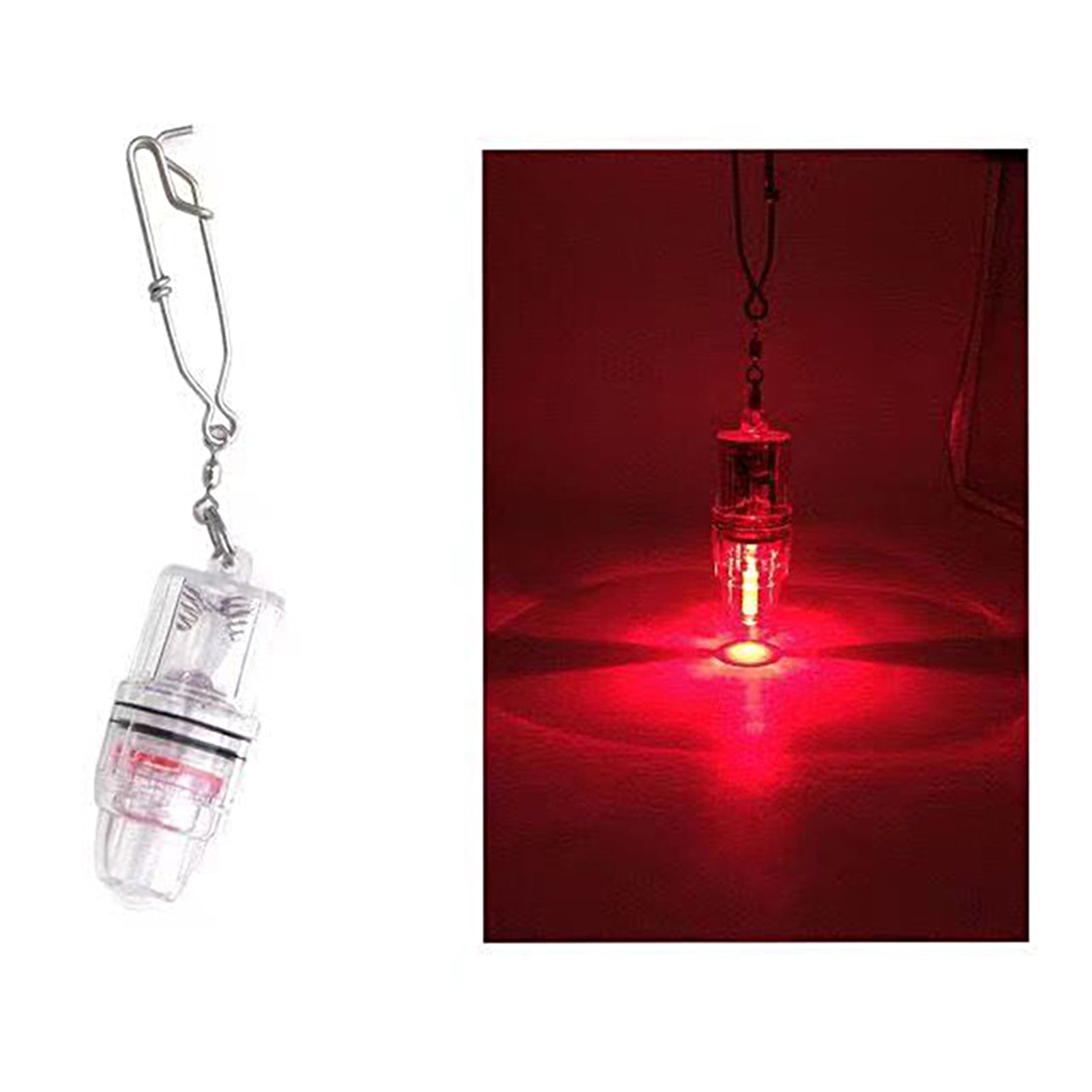 AURORA TRADE Fish Attraction Light Waterproof with Buckle Portable High ...