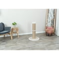 TRIXIE Rue Sisal & Plush 31.5" XXL Cat Scratching Post for Large Cats ...