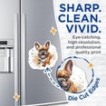 (2 Pack) French Bulldog Magnets - French Bulldog Dog Breed Magnets ...