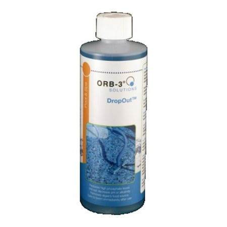 Orb-3 U722-000-1P 1-Pint Dropout Bottle for Pool | Walmart Canada