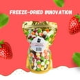 Rocky River Candy - Freeze Dried Rainbow Drops, Freeze Dried Candy ...