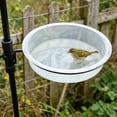6 Pcs Bird Feeders Water Bowls Round Birdbath Water Dish Feeding ...