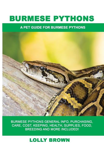 Burmese Pythons: Burmese Pythons General Info, Purchasing, Care, Cost ...