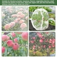 8×6.6ft Large Fruit Tree Netting, Zipper Drawstring Mesh Cover, Bird ...