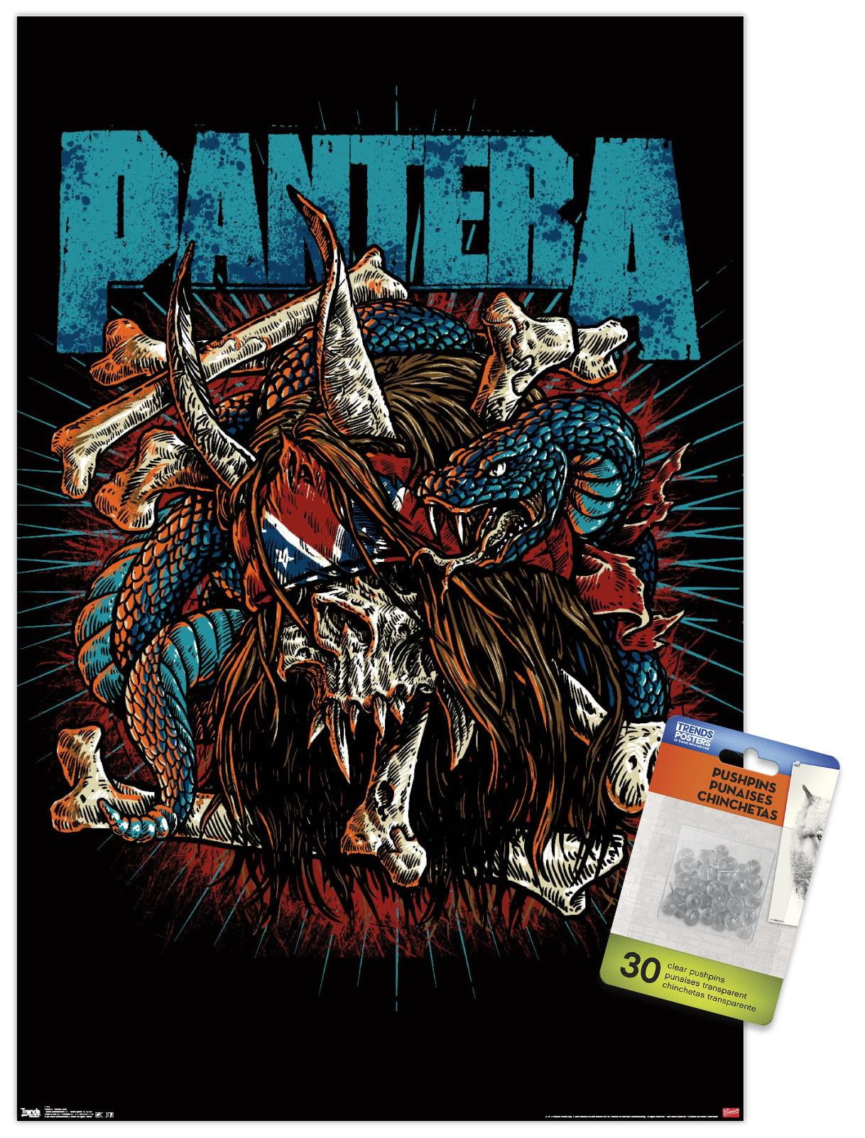 Pantera - Rocker Skull - Walmart.com