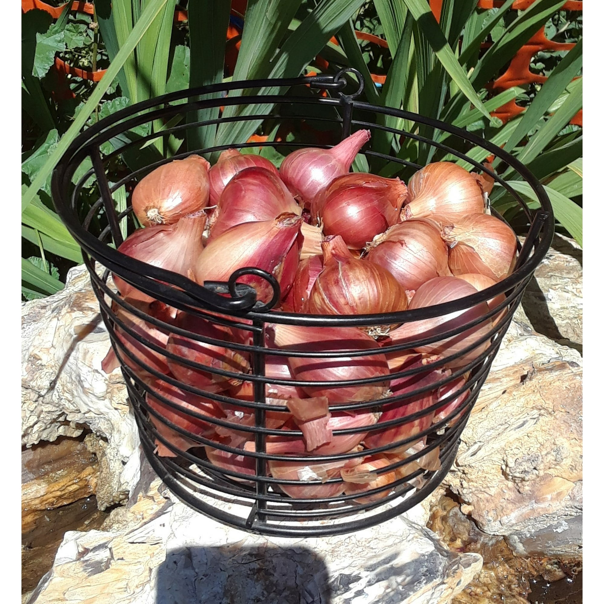 Click here for Remedy By Hakim Granulated Air-Dried Shallots  Nat... prices