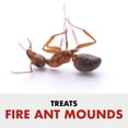 Spectracide Fire and Ant Shield Mound Destroyer Granules Kills Fire ...