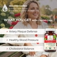 Artery Plaque Removal & Circulation Support – 4-Element Heart Health ...