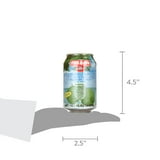 Faraon Coconut Juice with Pulp, 10.5 Fl Oz - Walmart.com