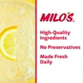 Milo's Lemonade Juice Drink - 128 fl oz Refrigerated Jug, No Added ...