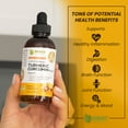 Maxx Herb Liposomal Turmeric Curcumin Extract, Black Pepper, Ginger, 4 ...