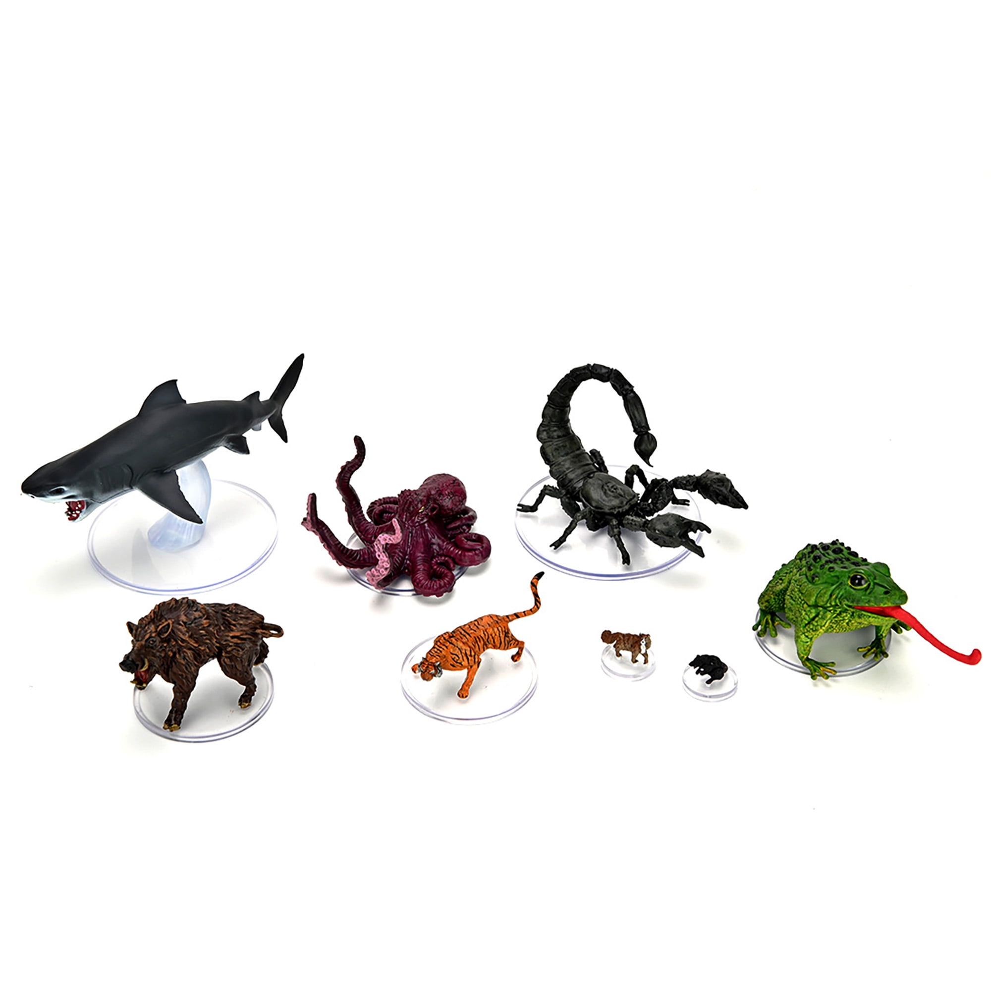 D&D Icons of the Realms: Wild Shape & Polymorph Set 1 - 8 Pre-painted ...
