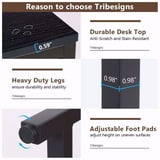 TribeSigns 60 inch Computer Desk with 4-Tier Shelves, Modern Large ...